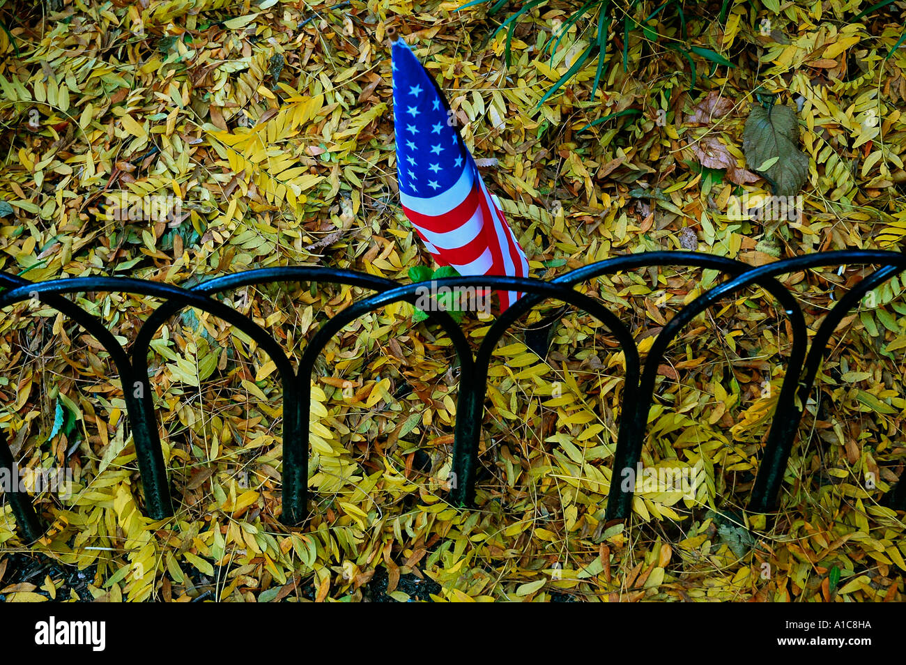 american flag in the fall Stock Photo - Alamy
