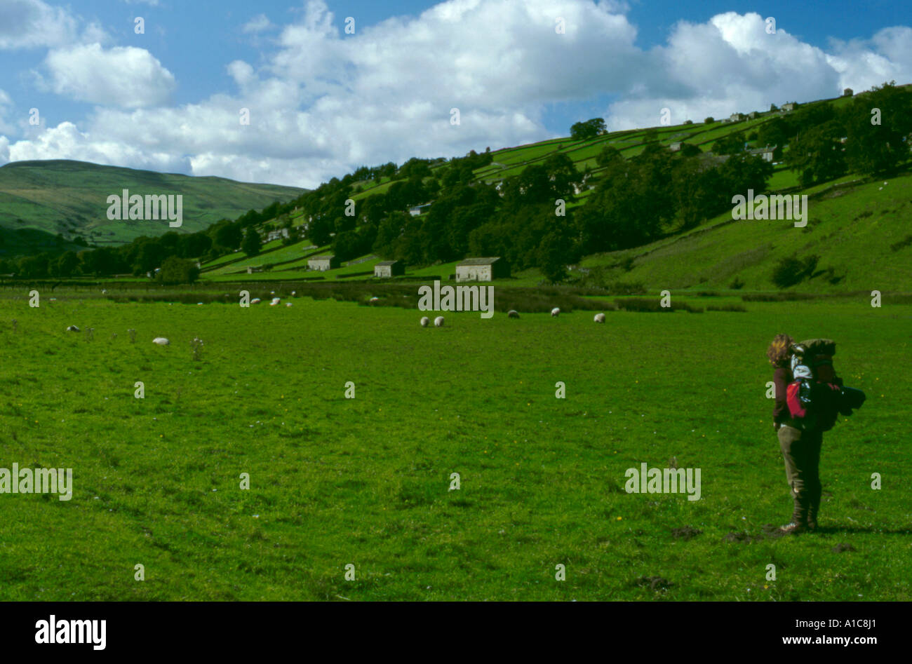 Fleetham village over Swaledale, Yorkshire Dales National Park, North ...