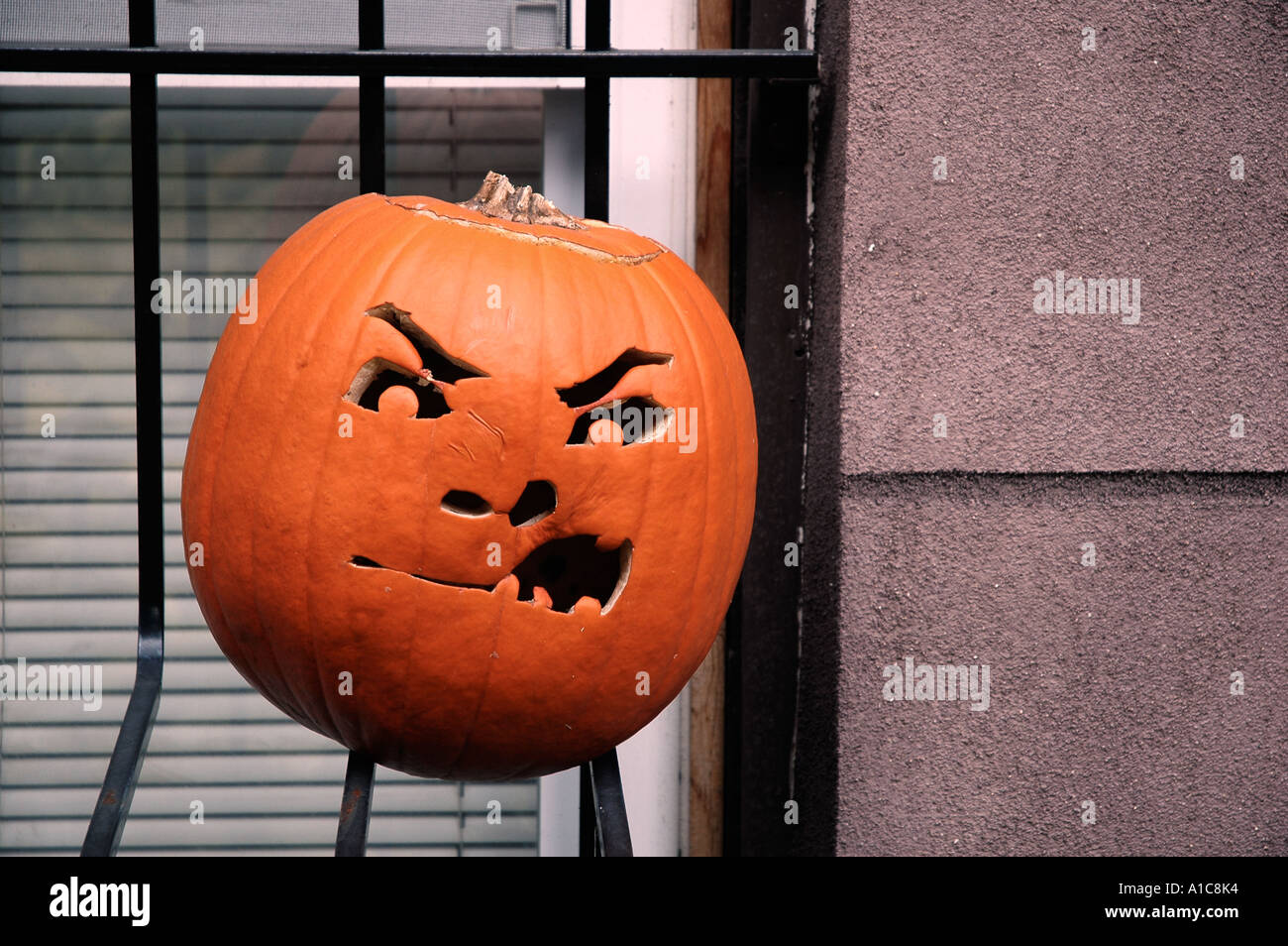 Pumpkin on a window sill Stock Photo - Alamy