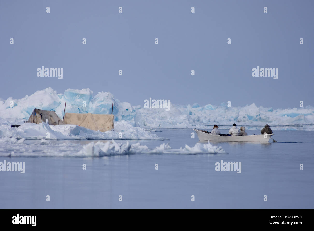 Indigenous whale hunting hi-res stock photography and images - Alamy
