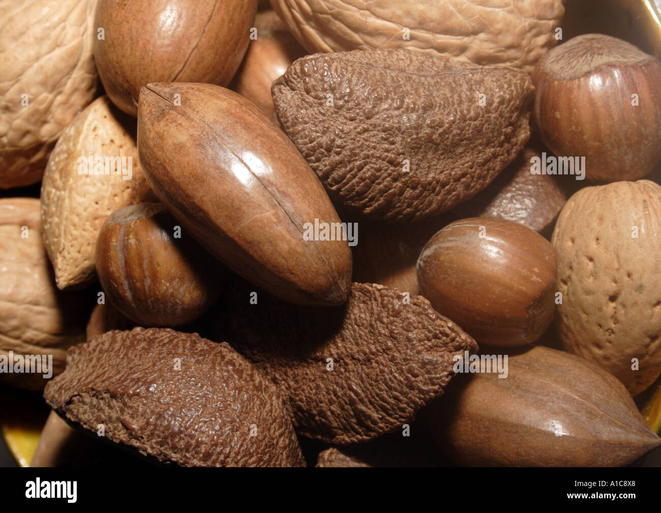 Nuts, Nuts, Nuts Stock Photo - Alamy