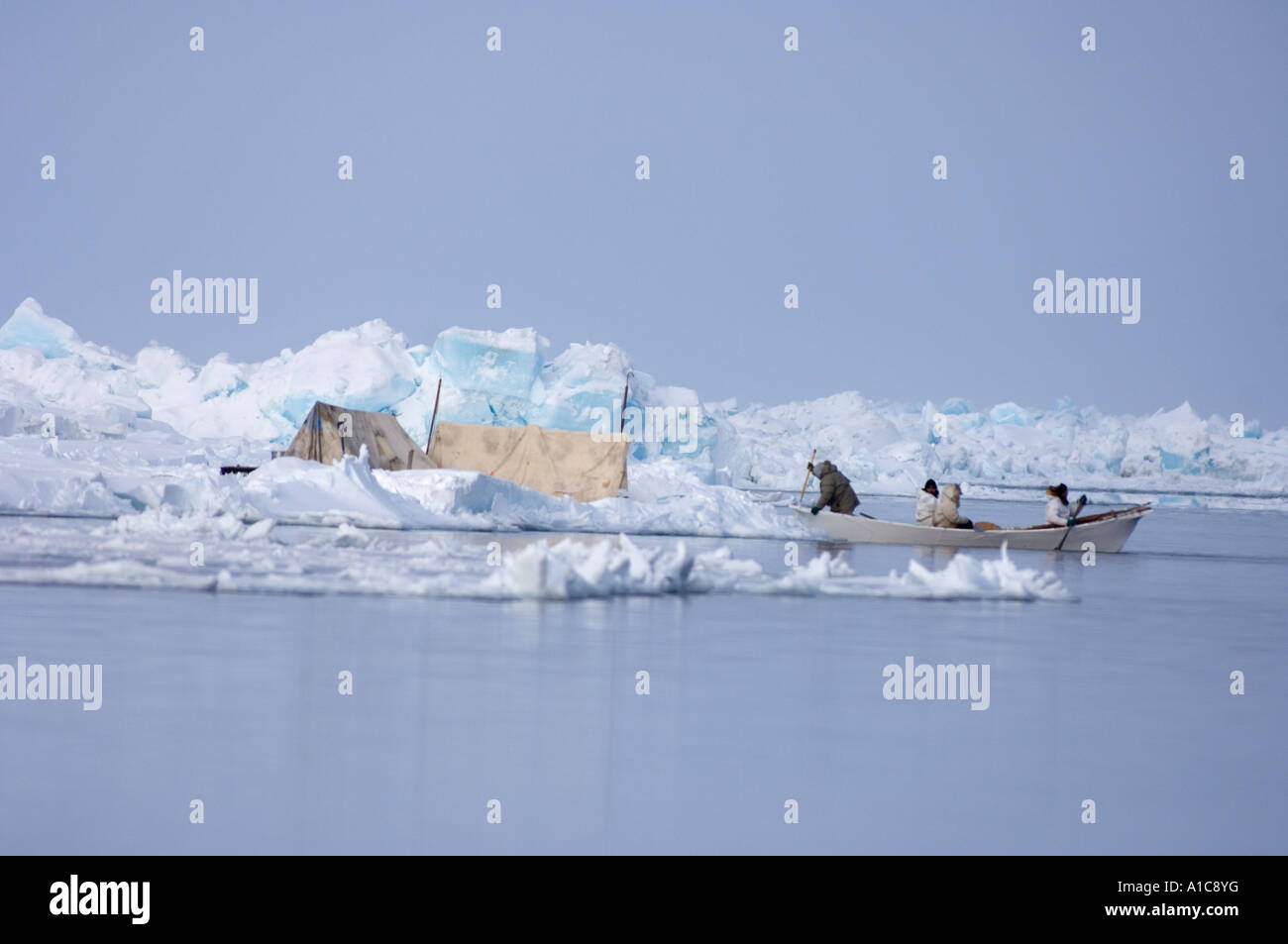Indigenous whale hunting hi-res stock photography and images - Alamy