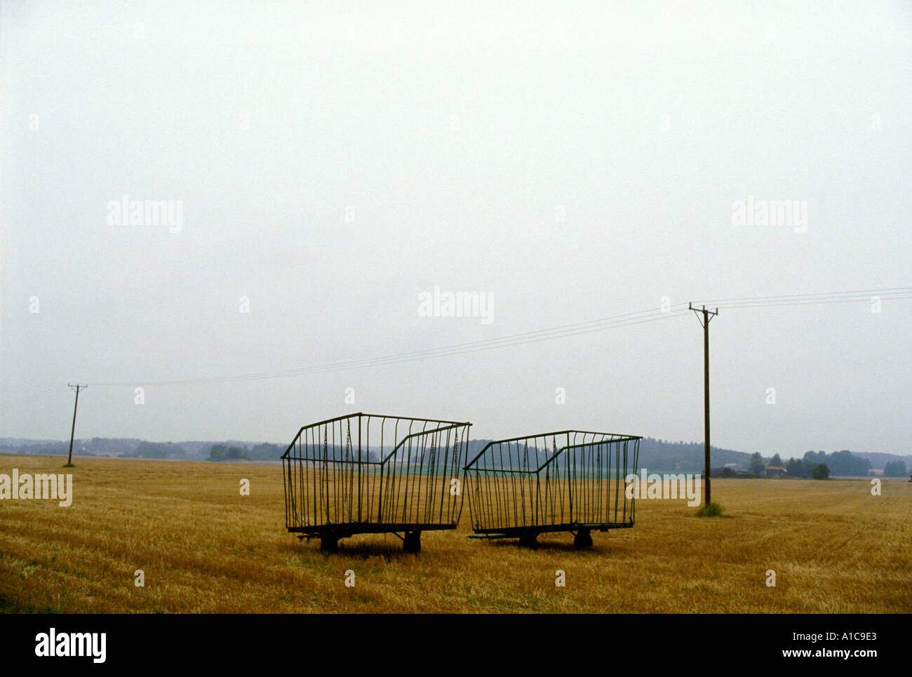 Haycarts on a field in Sweden Stock Photo - Alamy
