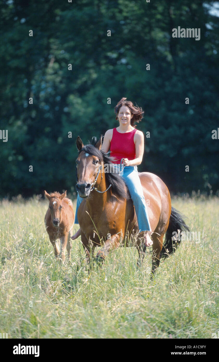 Riding a horse without a saddle hi-res stock photography and images - Alamy