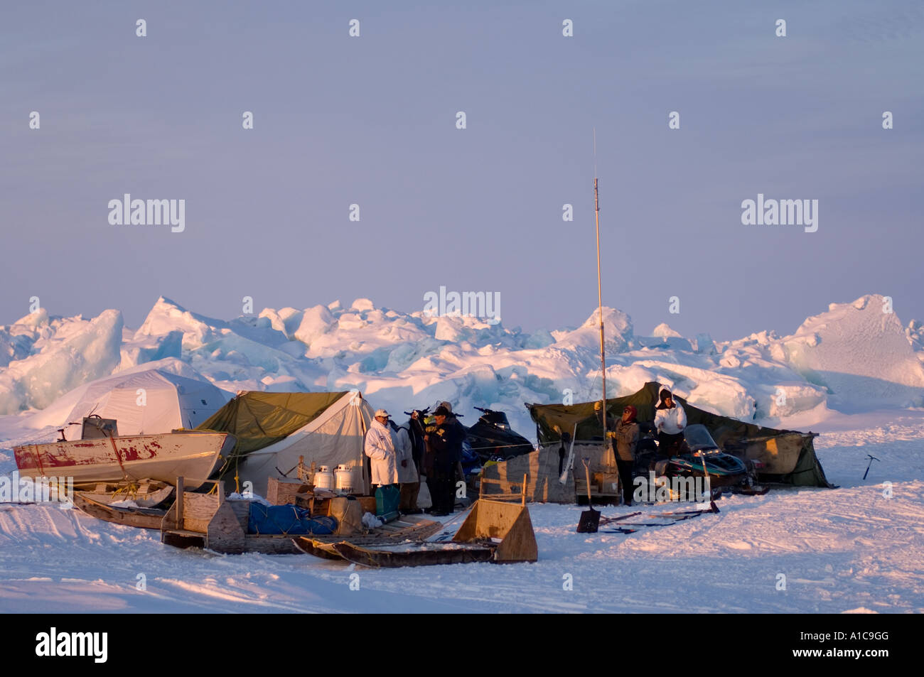 Indigenous whaling hi-res stock photography and images - Alamy