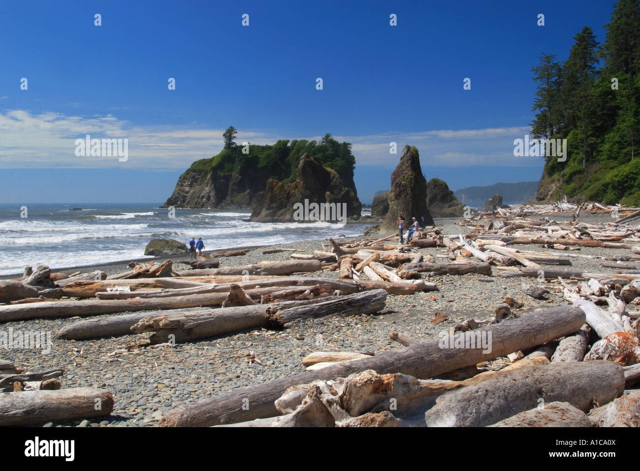 Ruby Beach with flotsam, USA, Washington, Olympic National Park,, Ruby ...