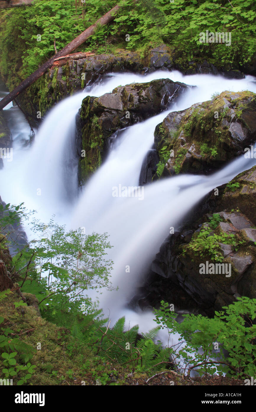 Sol Duc Falls, Sol Duc River, Sol Duc Valley, USA, Washington, Olympic ...