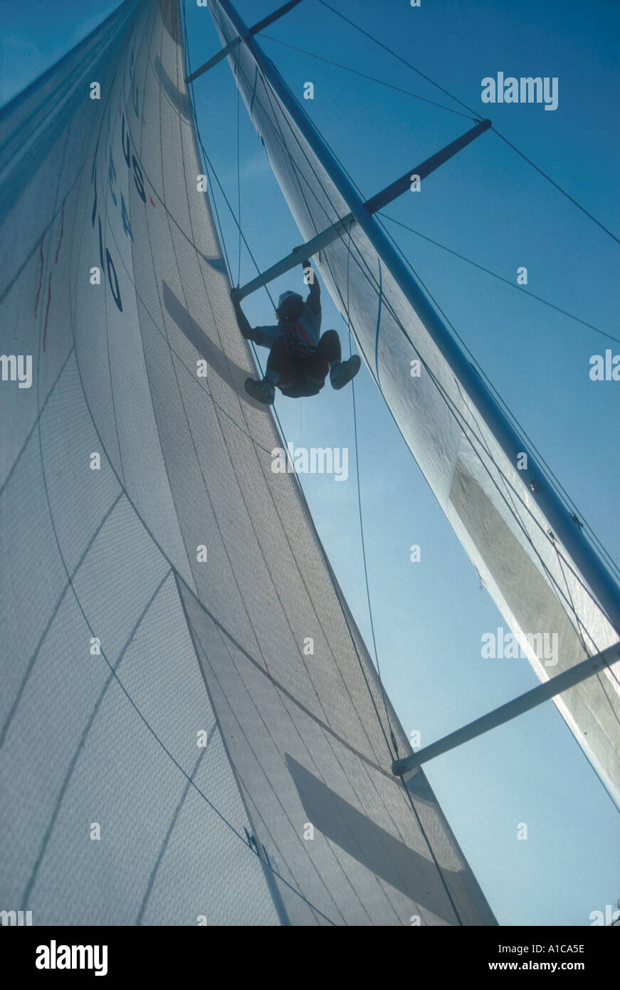 checking rigging on a racing yacht Stock Photo - Alamy