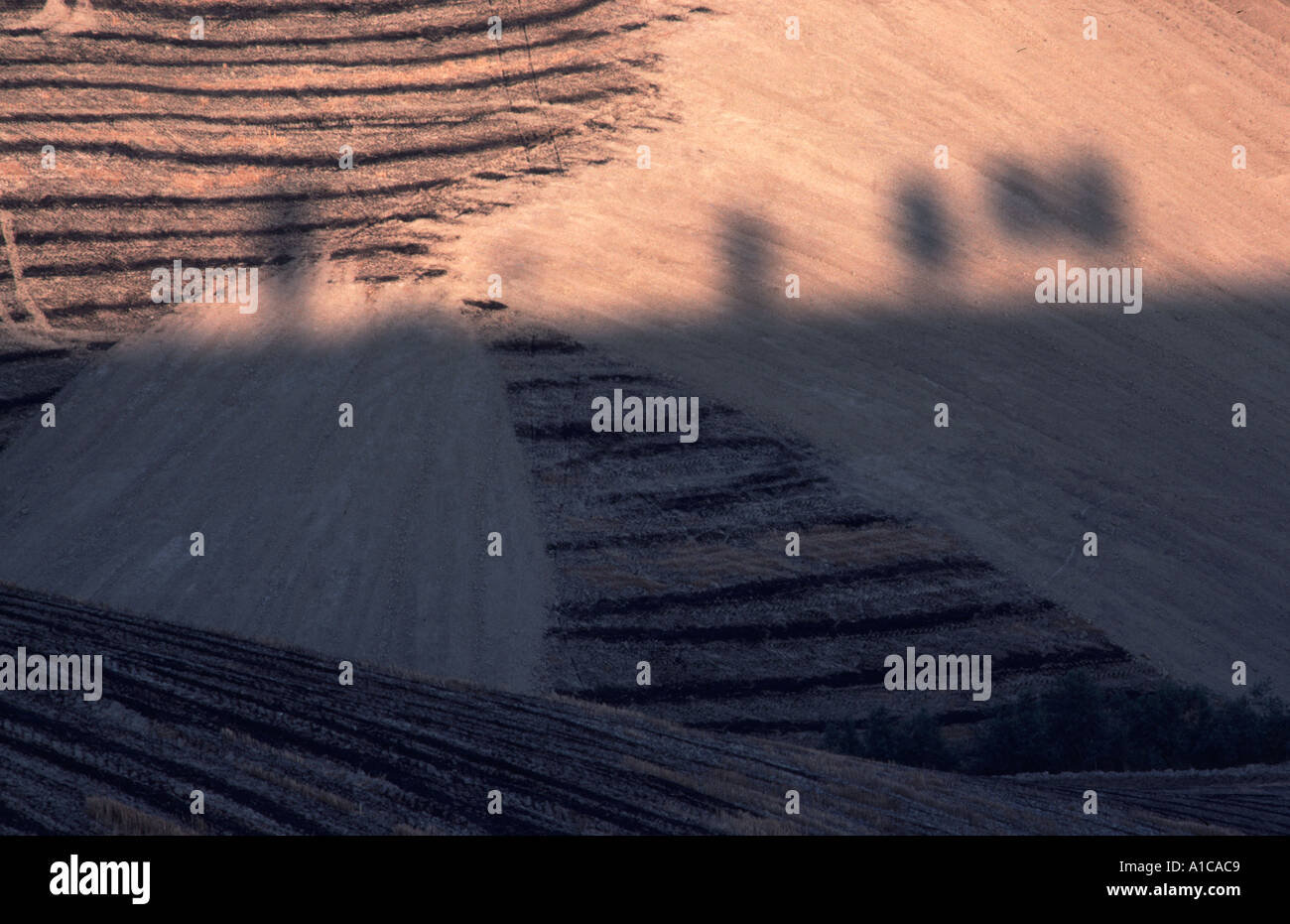 le Crete Toscana Italy Stock Photo - Alamy