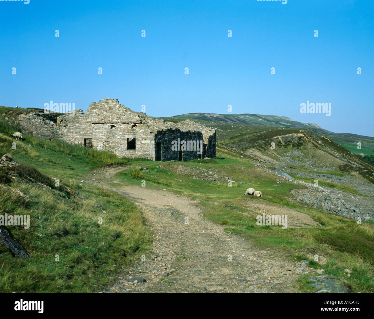Old lead smelting mill above Healaugh, Upper Swaledale, Yorkshire Dales ...