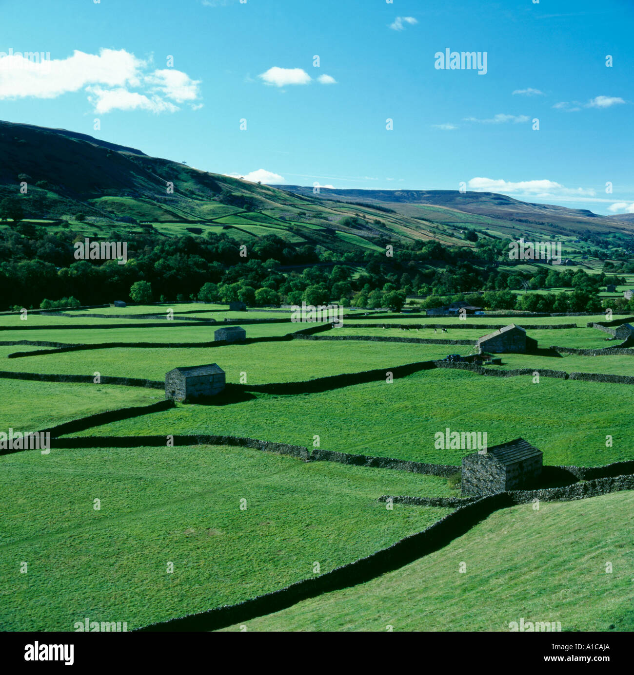 Stone barns, fields & drystone walls, Gunnerside, Upper Swaledale ...