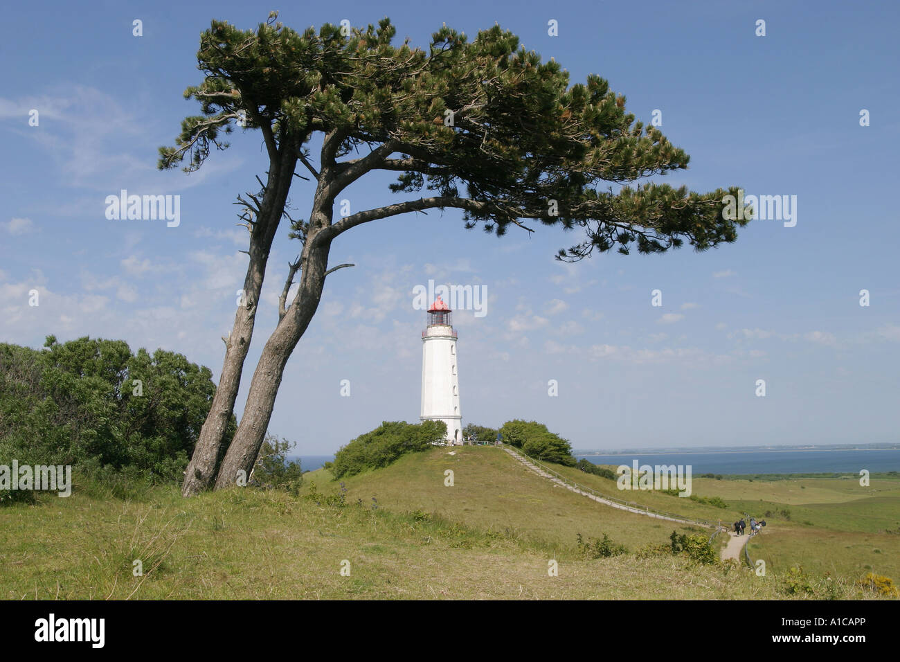 lighthouse on Hiddensee island, Germany, Hiddensee Stock Photo - Alamy