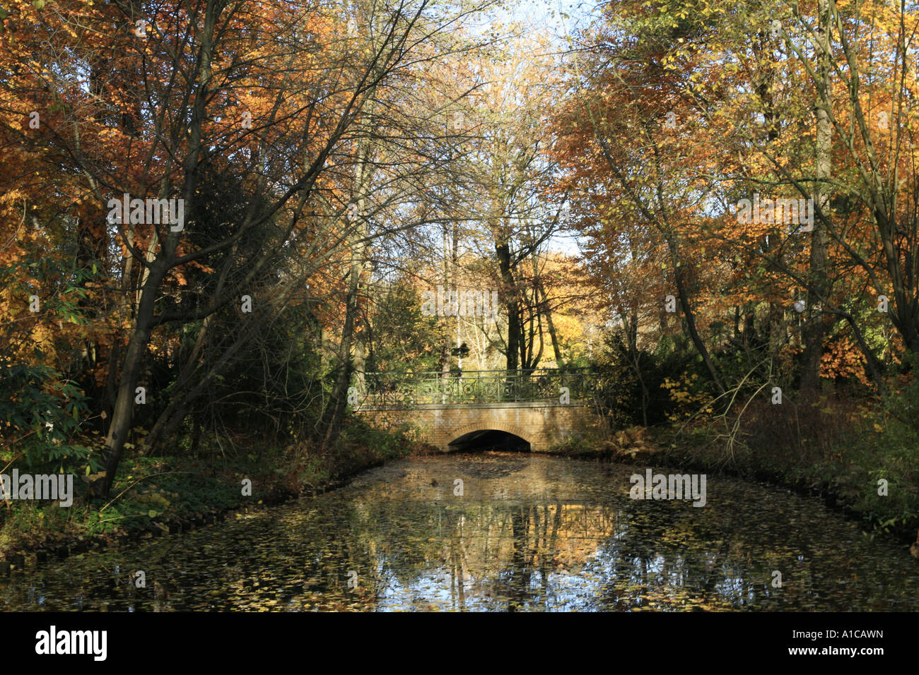 autumn in central park Tiergarten, Germany, Berlin Stock Photo - Alamy
