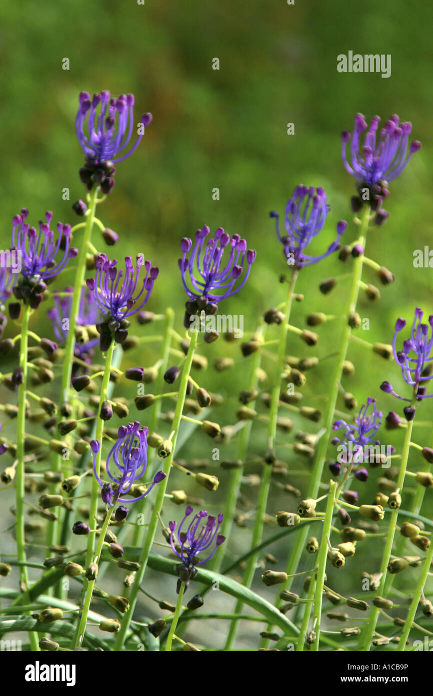 Misguidances hi-res stock photography and images - Alamy