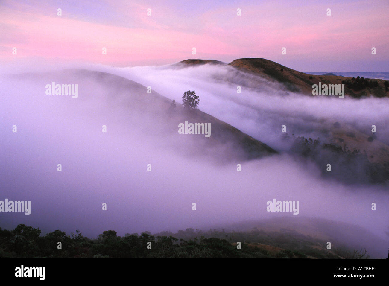 pacific ocean fog rolling over Mount Tamalpais in Marin County ...