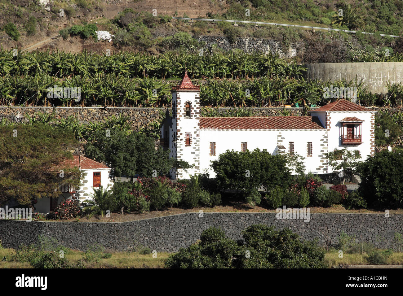 dwarf banana (Musa acuminata), church between banana plantations, Spain ...