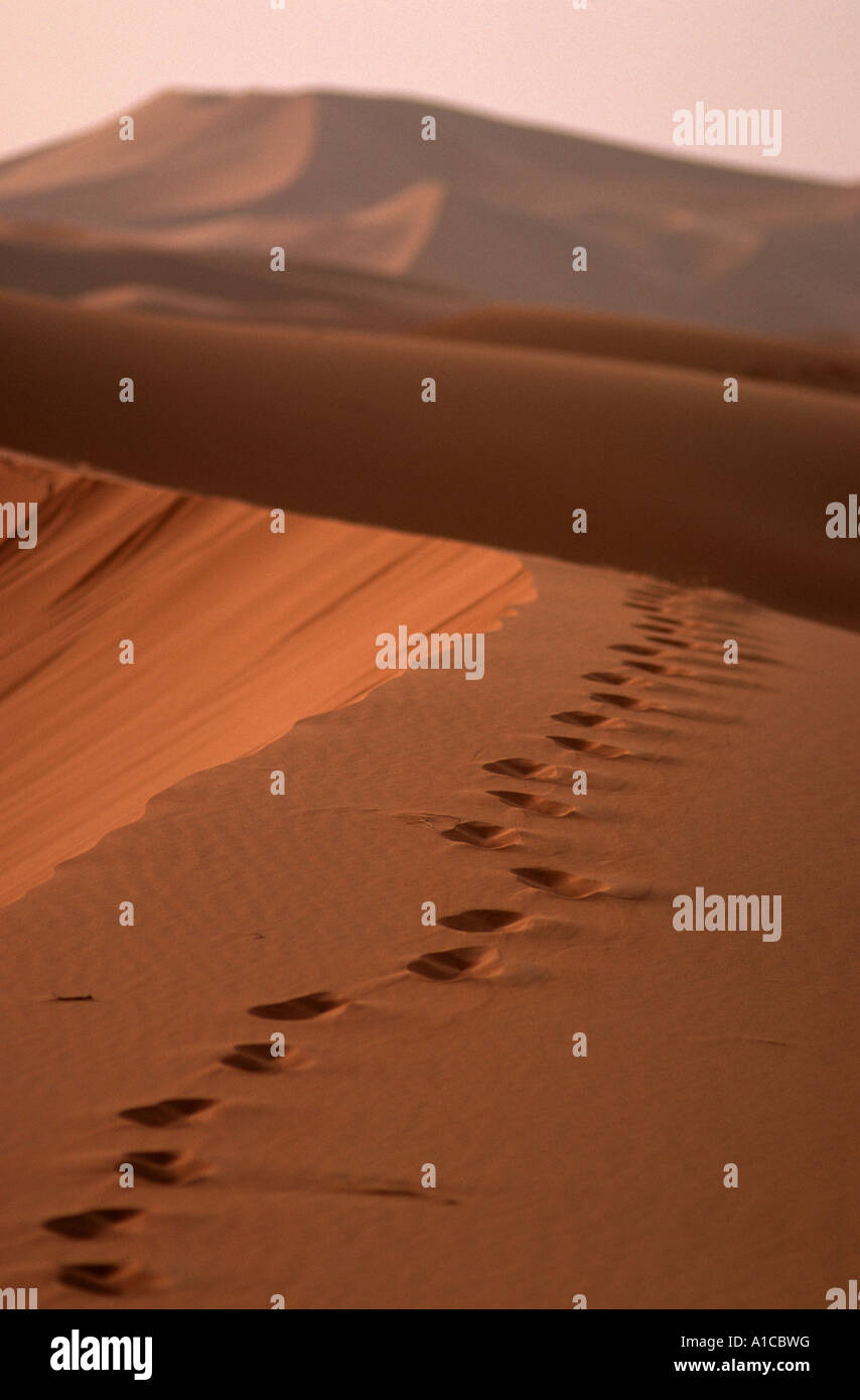 lost foot steps desert sand dunes traces follow vertical Stock Photo ...