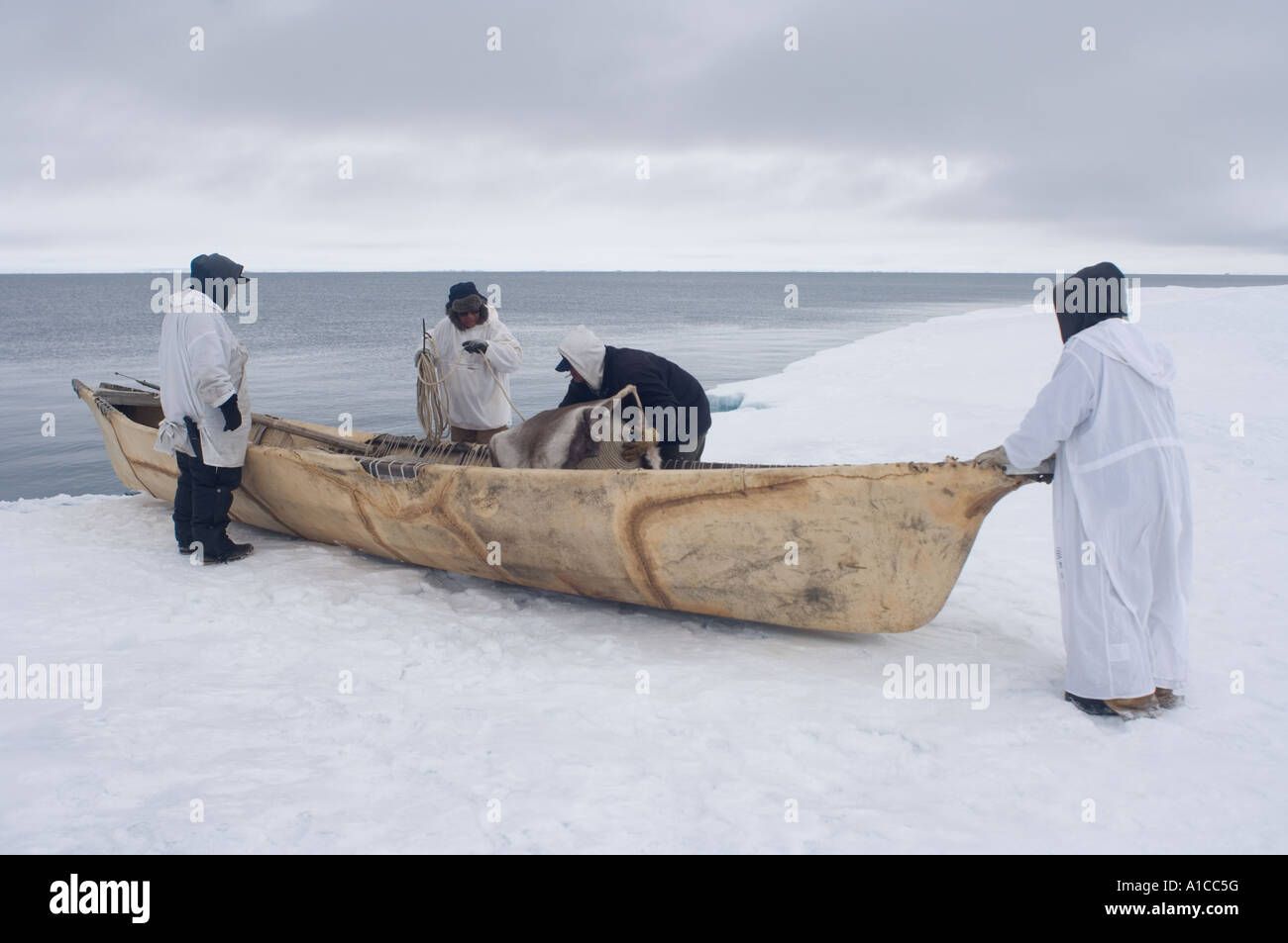 inupiat whaling crew with skin boat and whaling implements on the edge ...