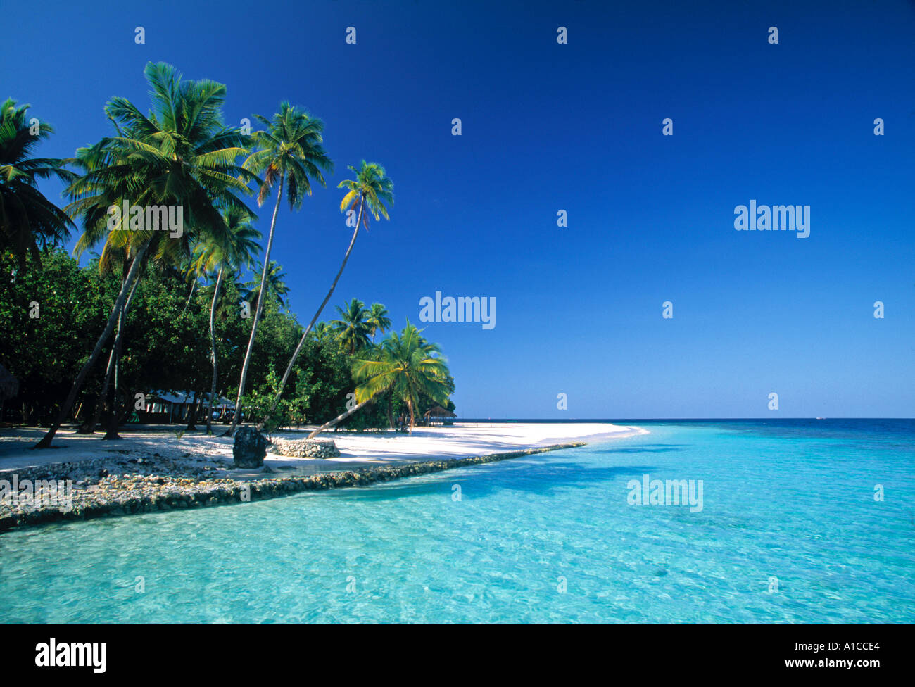 Maldives, Indian Ocean Stock Photo - Alamy