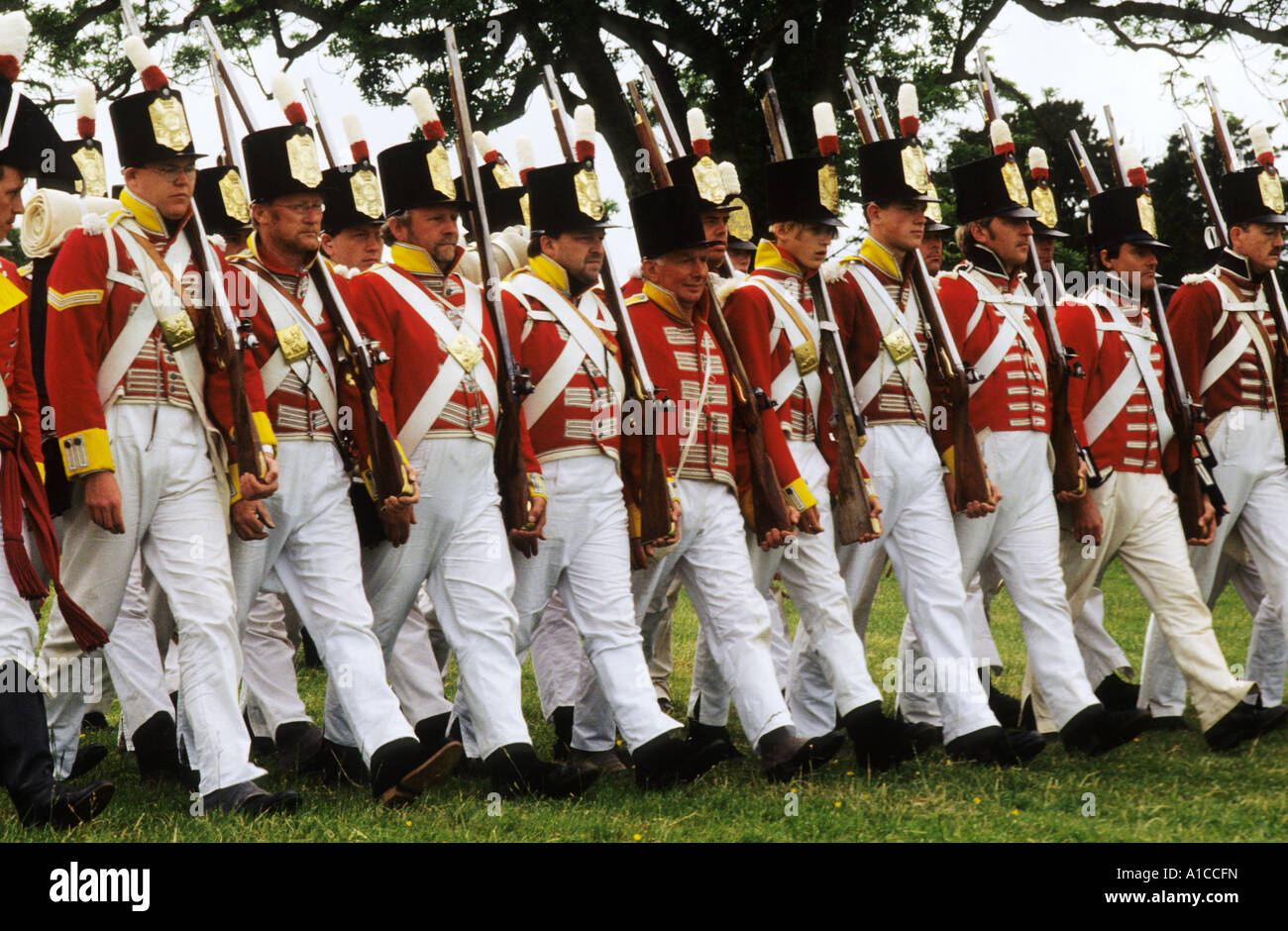 Re enactment British Foot Regiment Napoleonic period 1815 marching ...