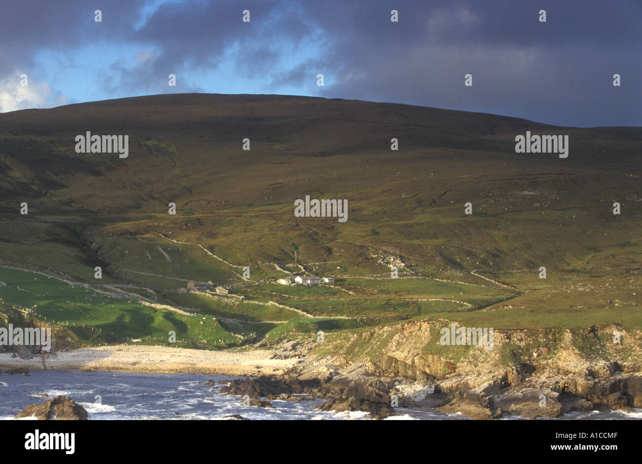 Light secluded isolated foliage hi-res stock photography and images - Alamy