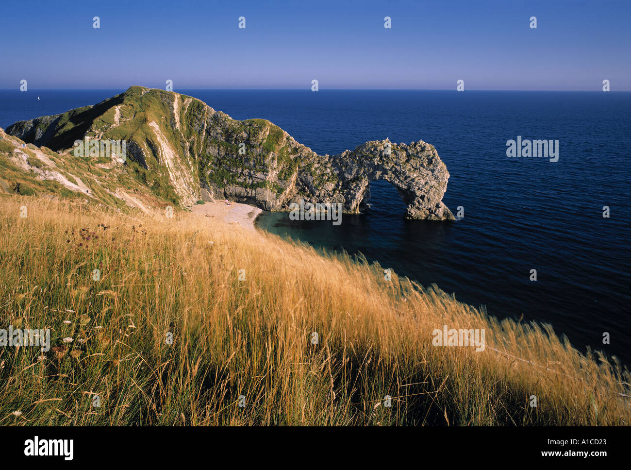 Durdle Dor, Dorset, England Stock Photo - Alamy