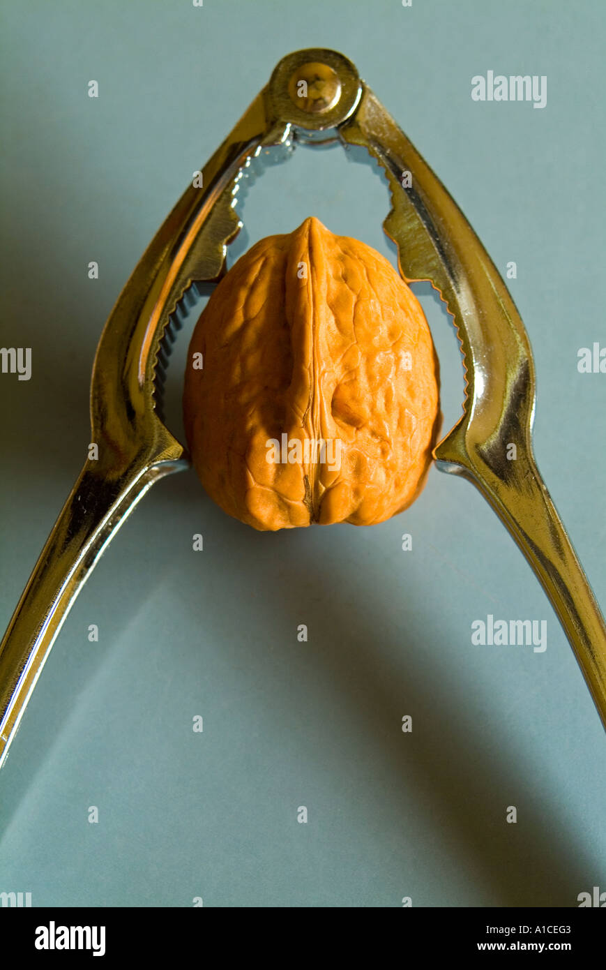 Steel and walnut hi-res stock photography and images - Alamy