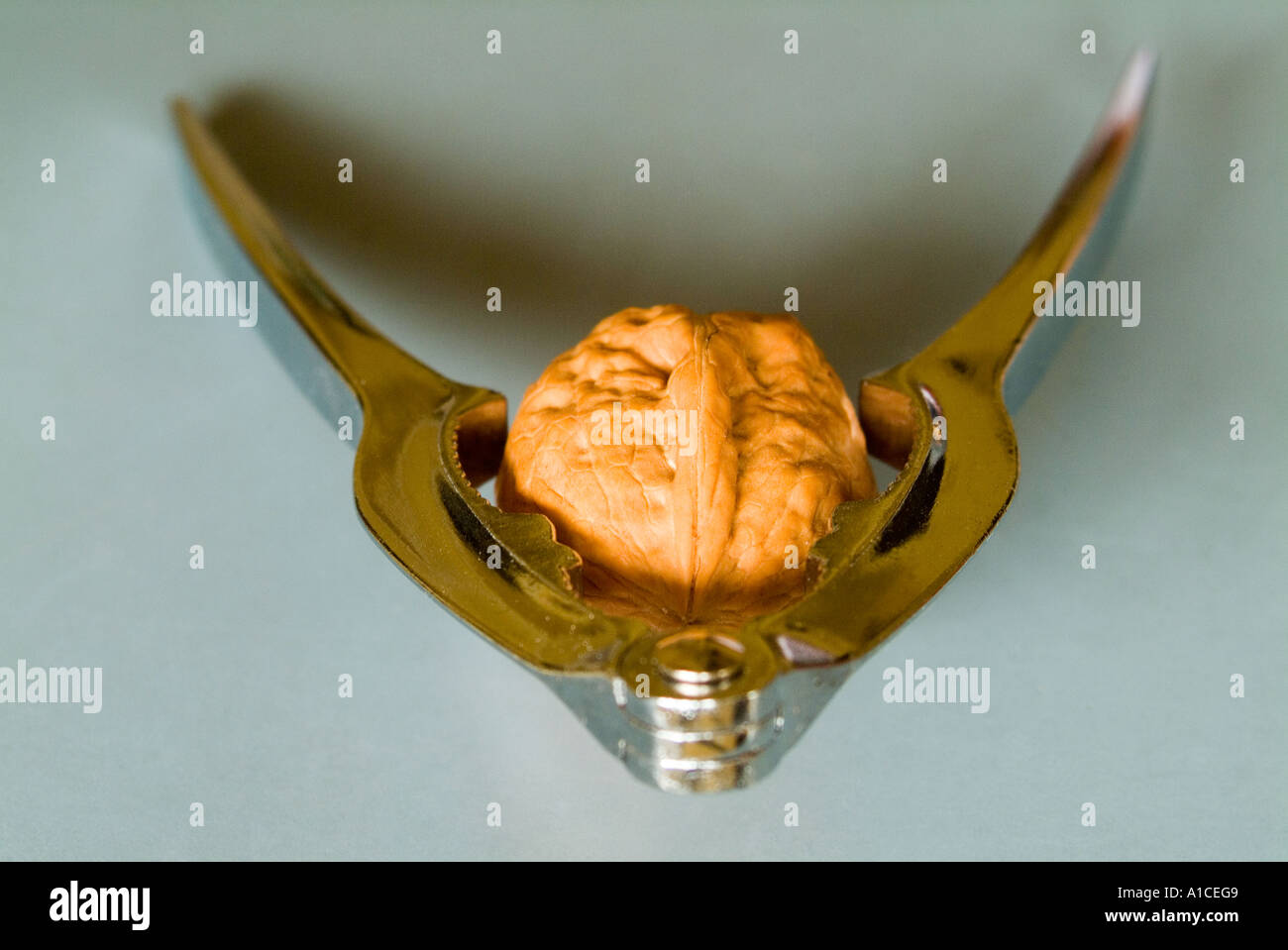 Nut cracker breaking pressure hi-res stock photography and images - Alamy