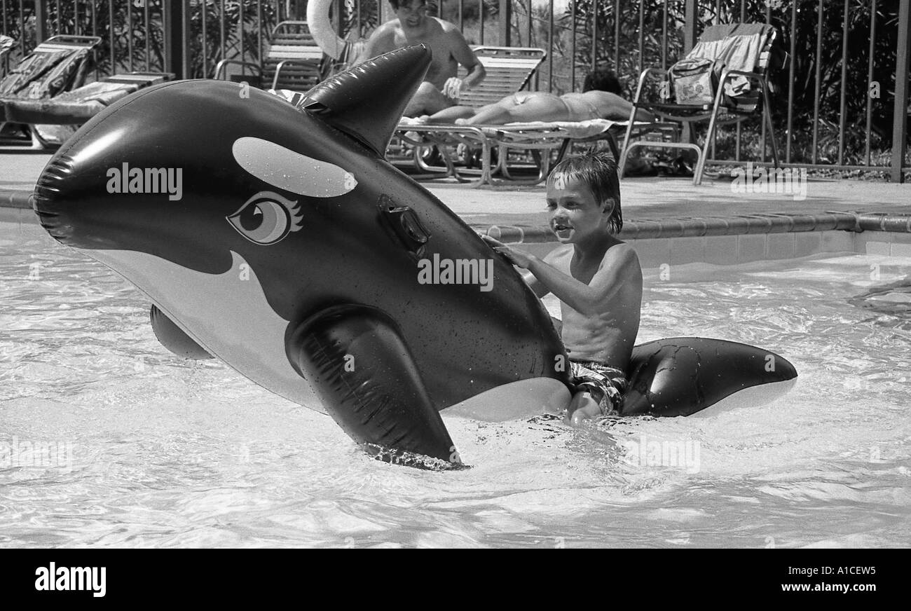 Large Male Killer Whale Orca High Resolution Stock Photography and ...