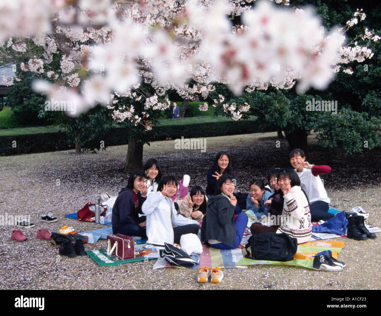 Sakura in Higashi Gyoen Stock Photo - Alamy