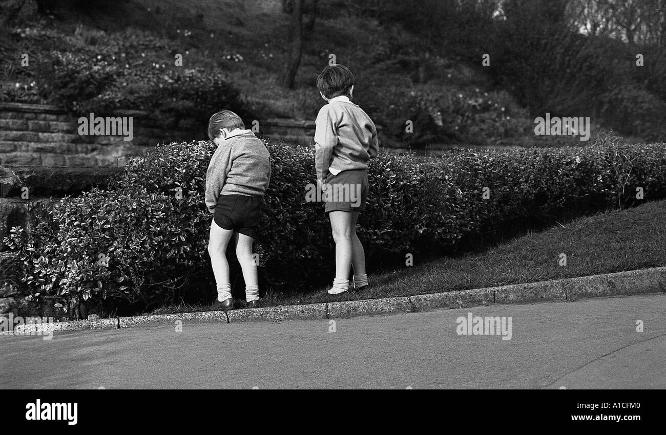Two boys having a wee against a low hedge where they think they cannot ...