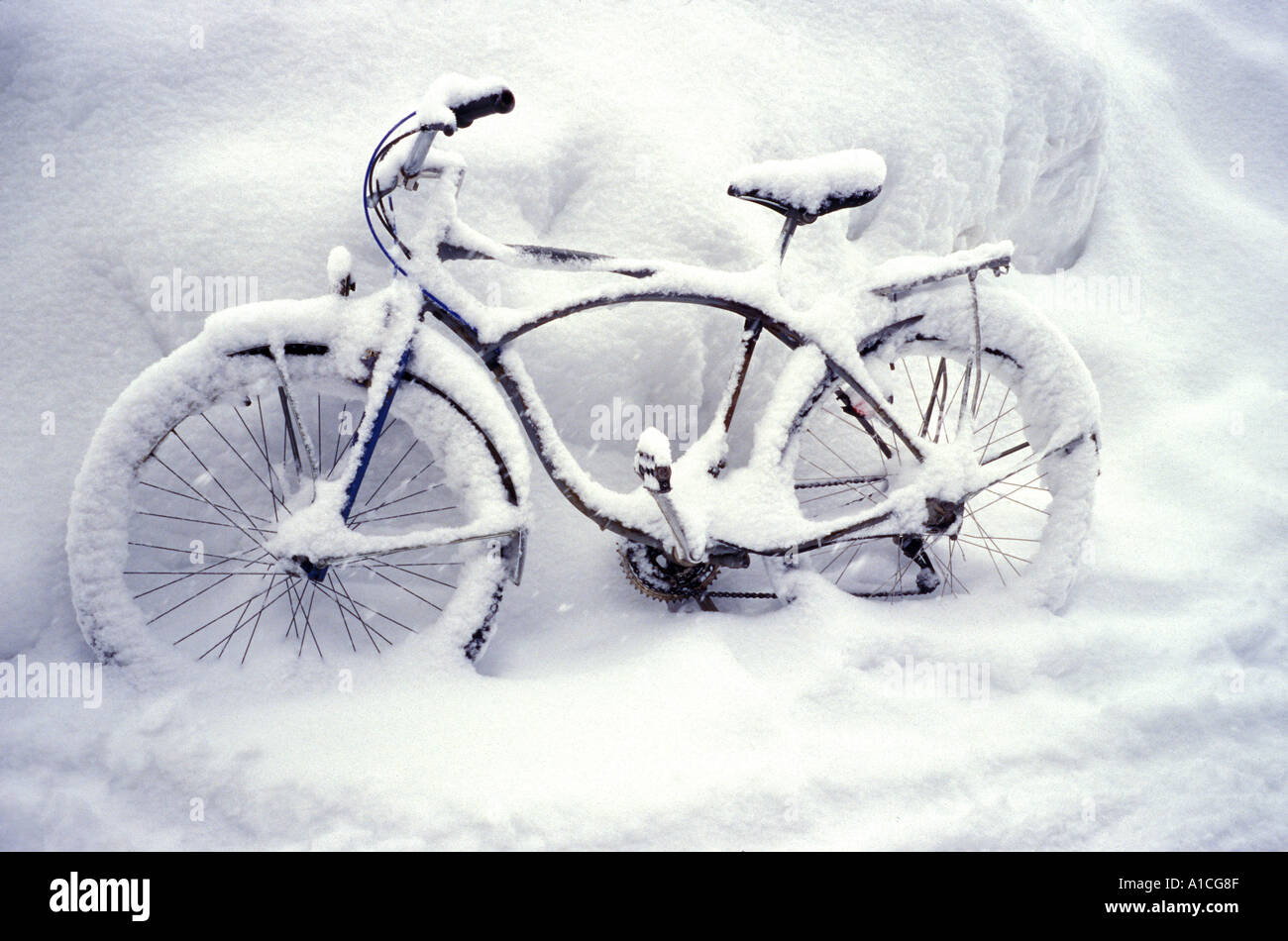 A snow covered bicycle leans against a snowbank Stock Photo - Alamy