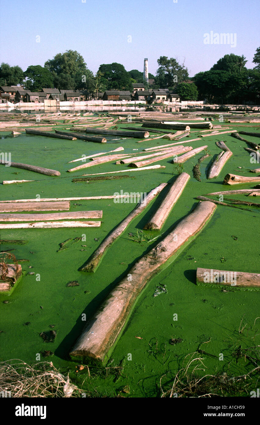 Logging pond hi-res stock photography and images - Alamy