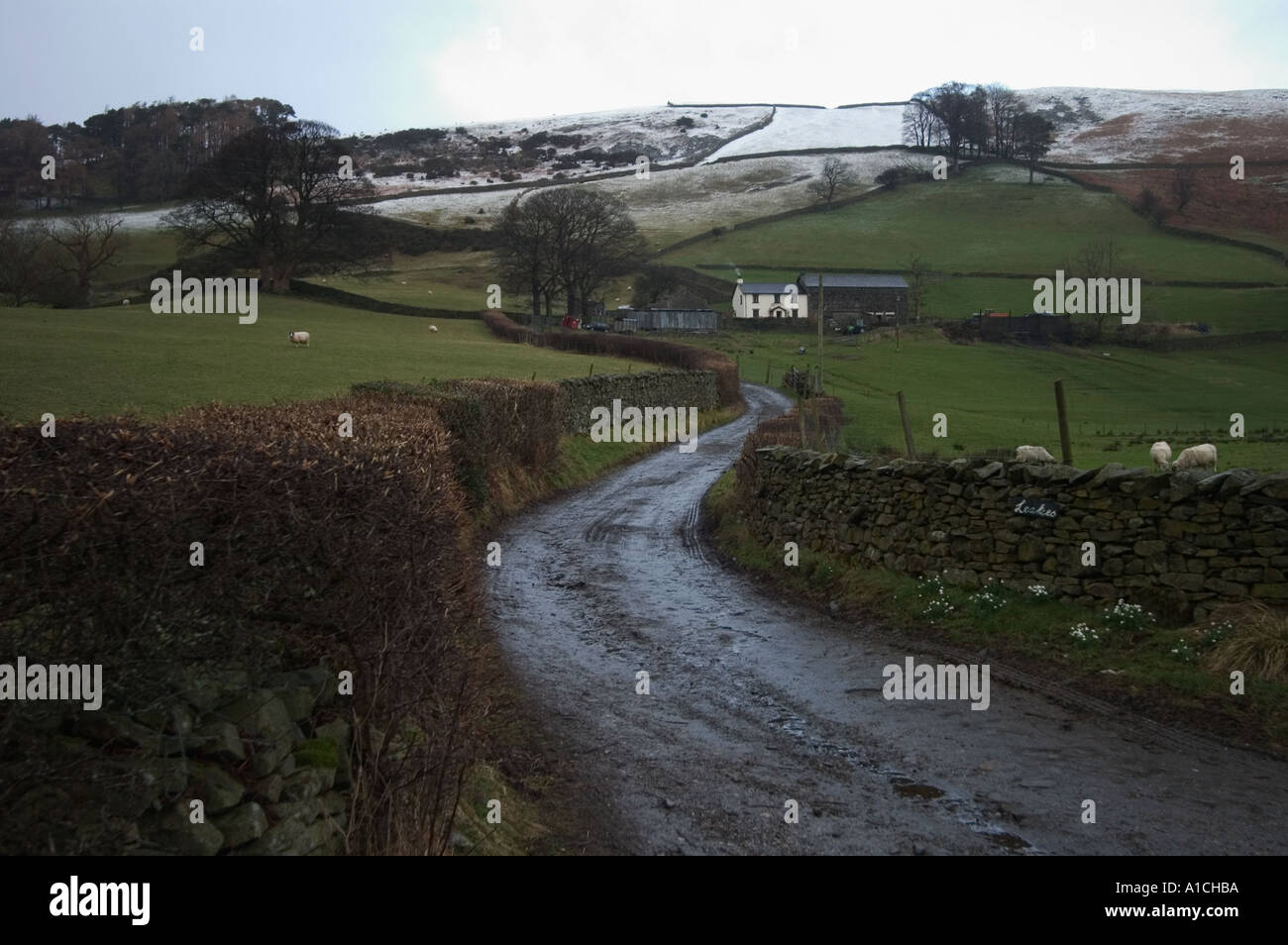 Farmhouse in Dentdale Yorkshire Dales Stock Photo - Alamy