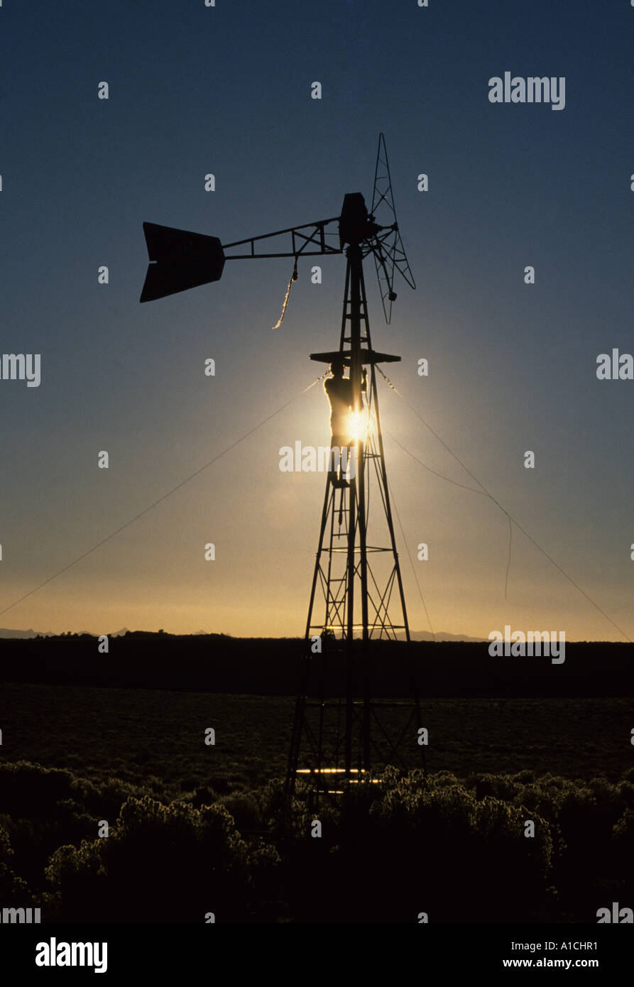 Cattle ranch water tank hi-res stock photography and images - Alamy