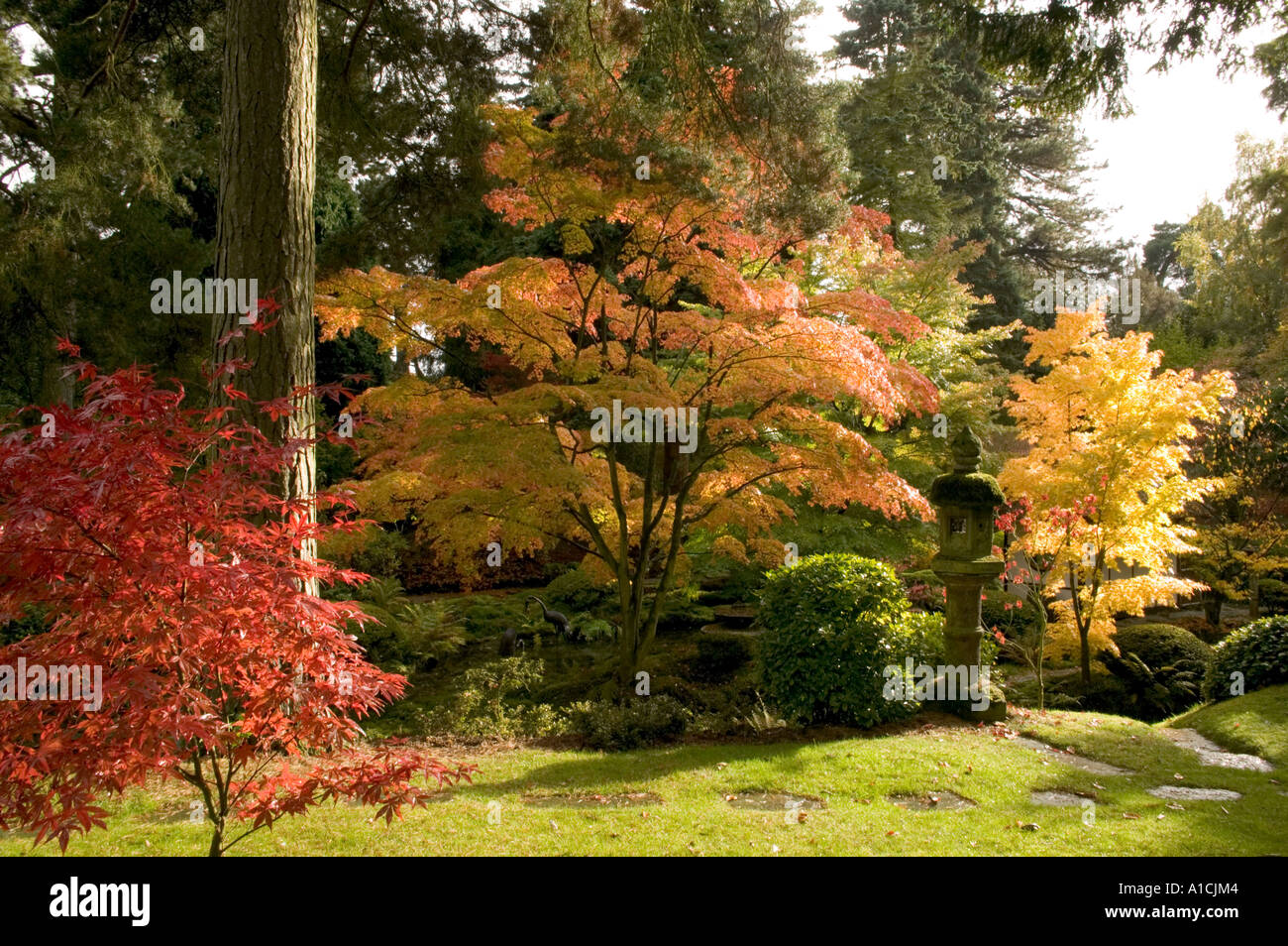 Tatton park japanese garden hi-res stock photography and images - Alamy