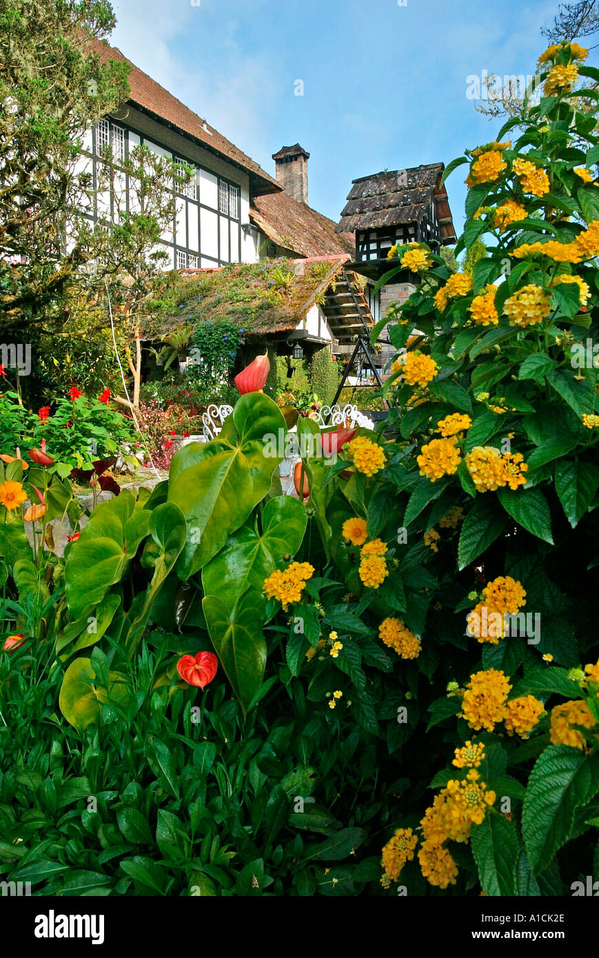 English country style buildings hi-res stock photography and images - Alamy