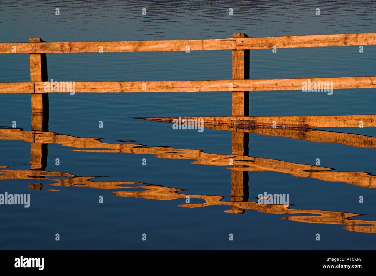 Fence underwater hi-res stock photography and images - Alamy