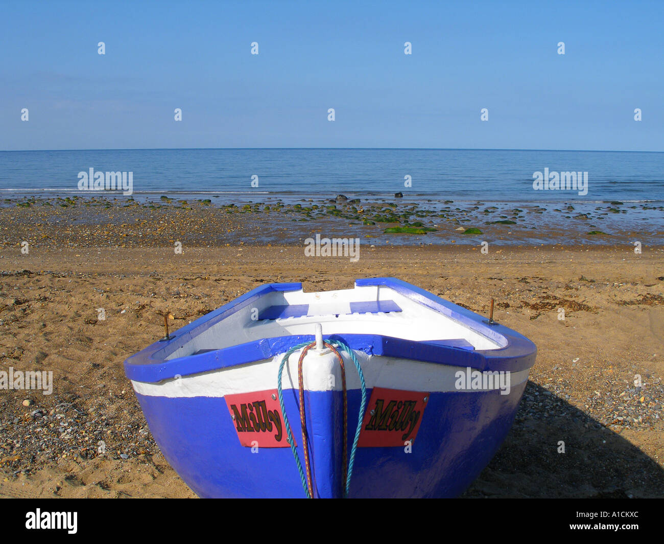 Milly waters hi-res stock photography and images - Alamy