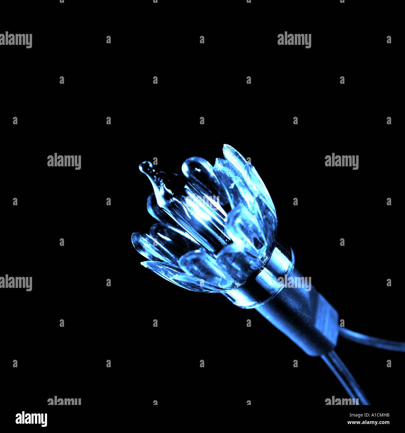 Fairy Light. Picture by Patrick Steel patricksteel (add more black in ...