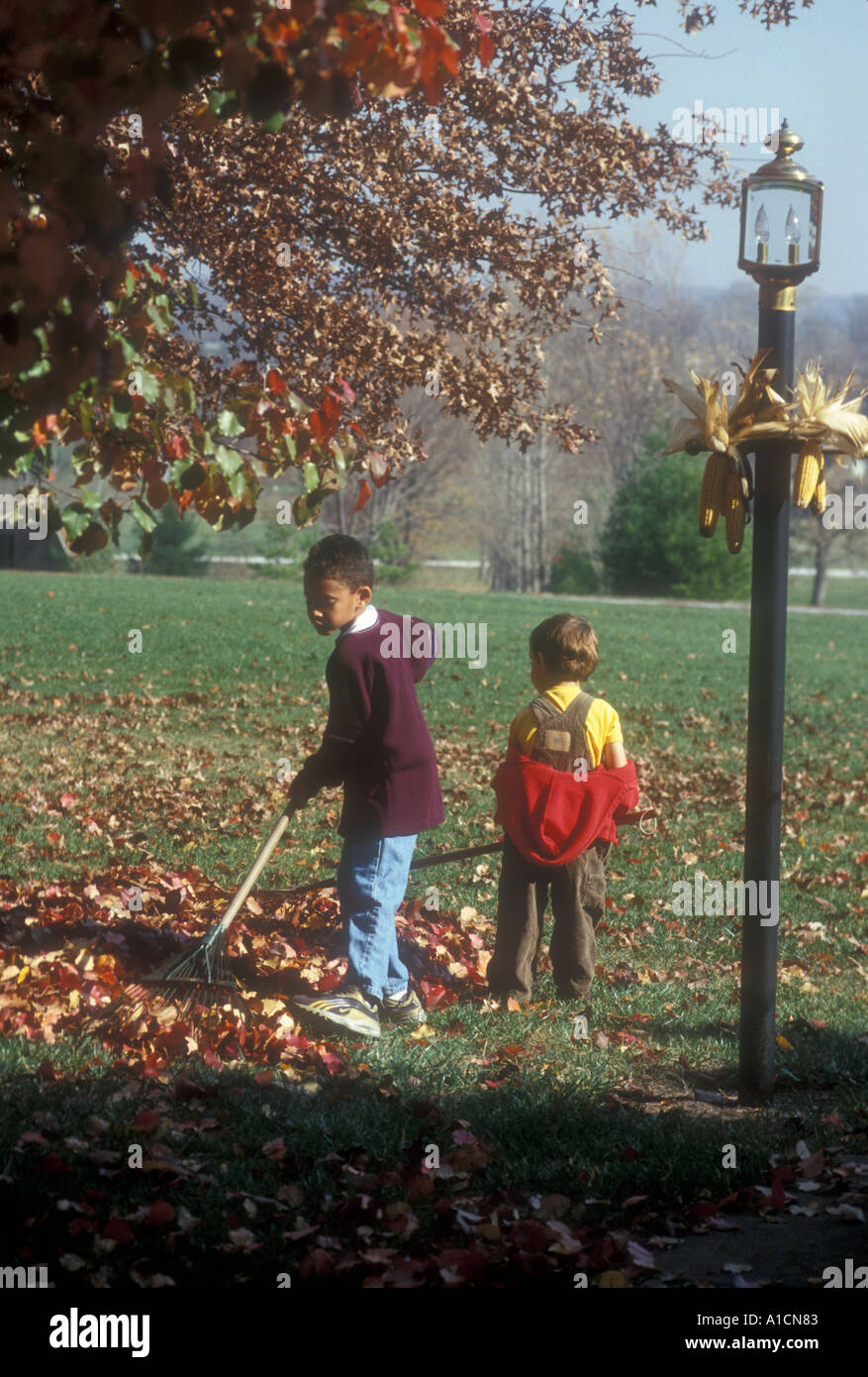 Child raking leaves hi-res stock photography and images - Alamy