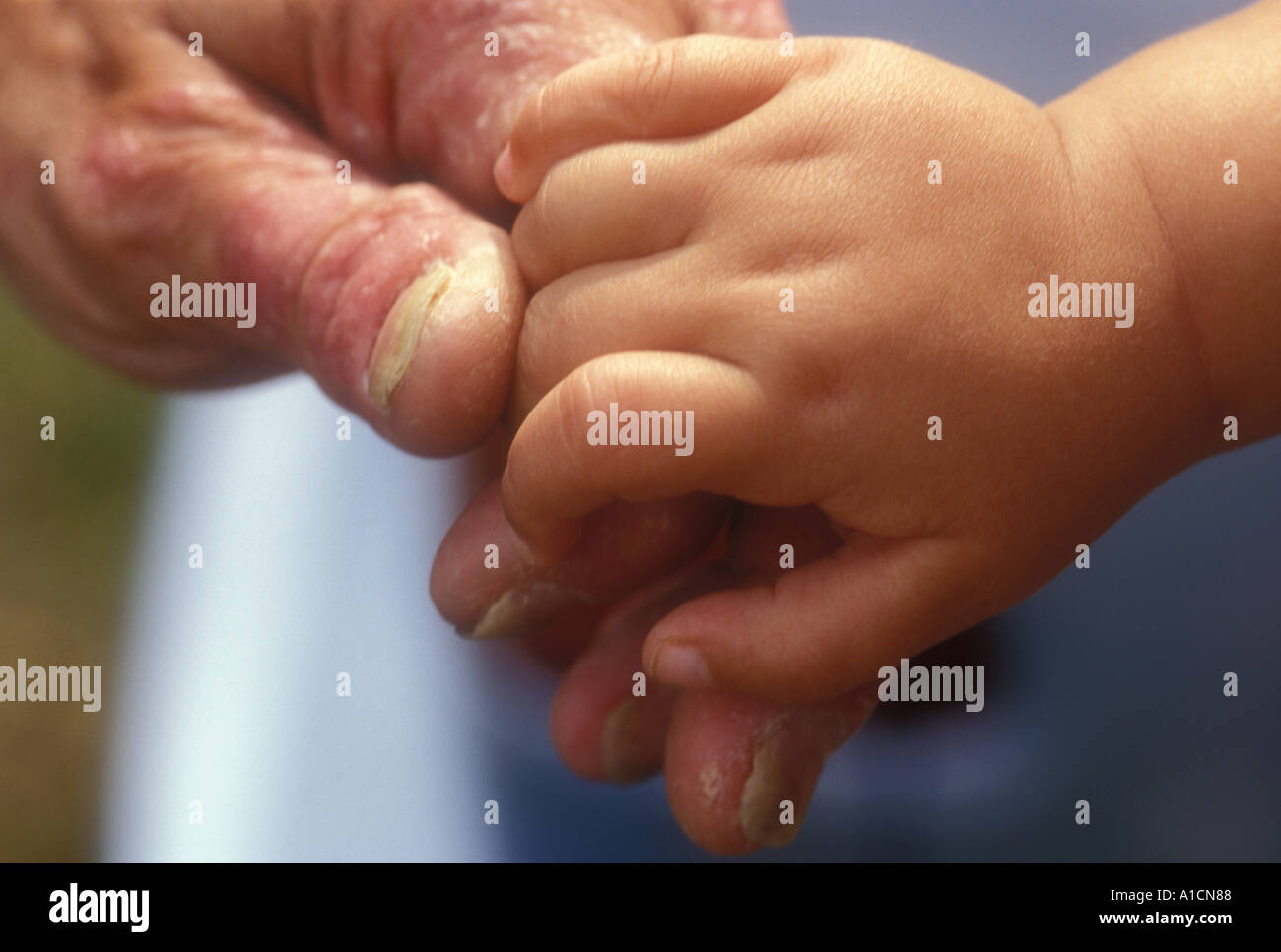Hand old young comparison hi-res stock photography and images - Alamy