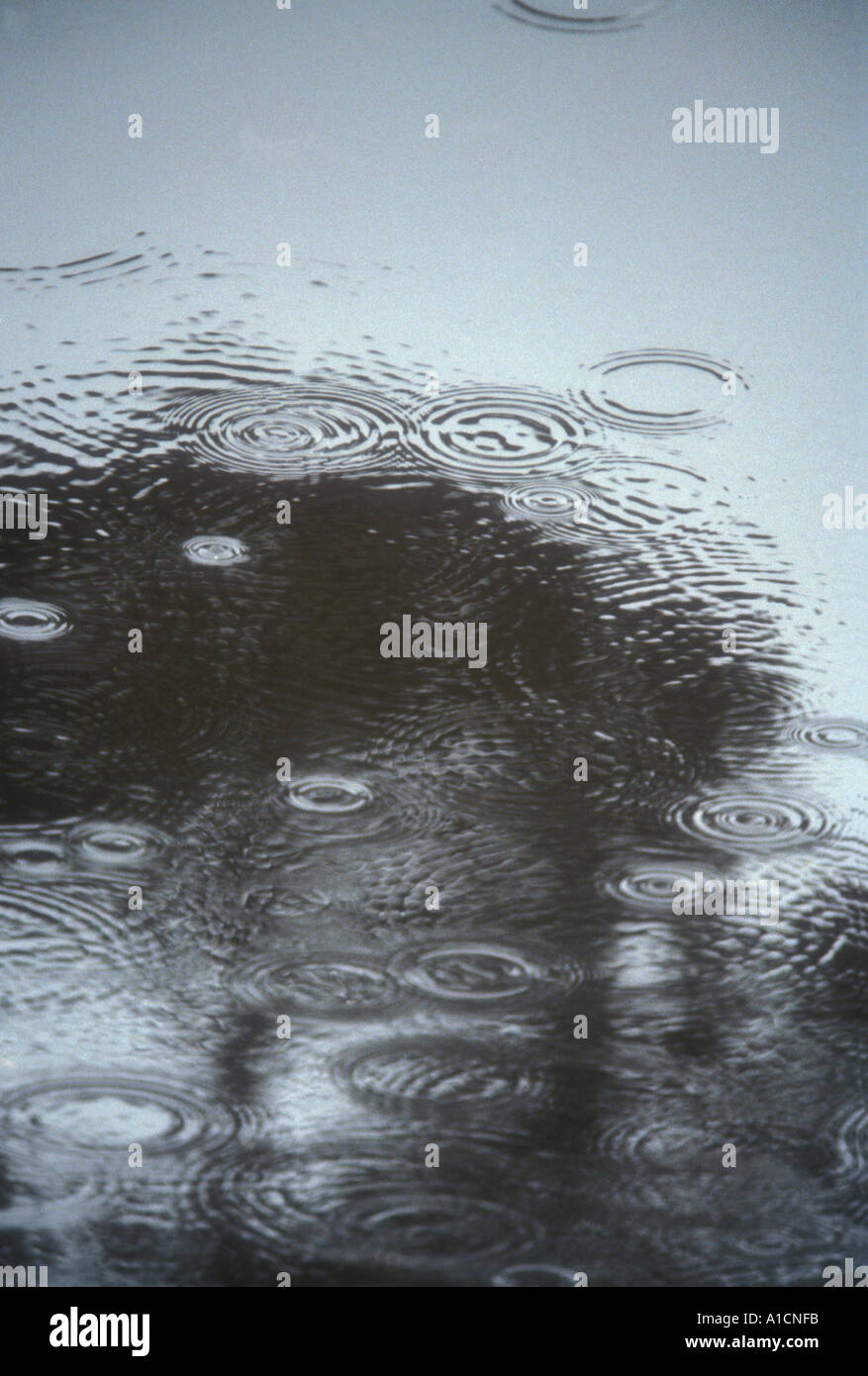 Raindrops splash in puddle hi-res stock photography and images - Alamy
