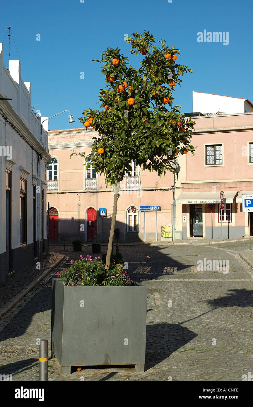 Orange tree in the hilltop town of Mertola Baixo Alentejo Portugal ...