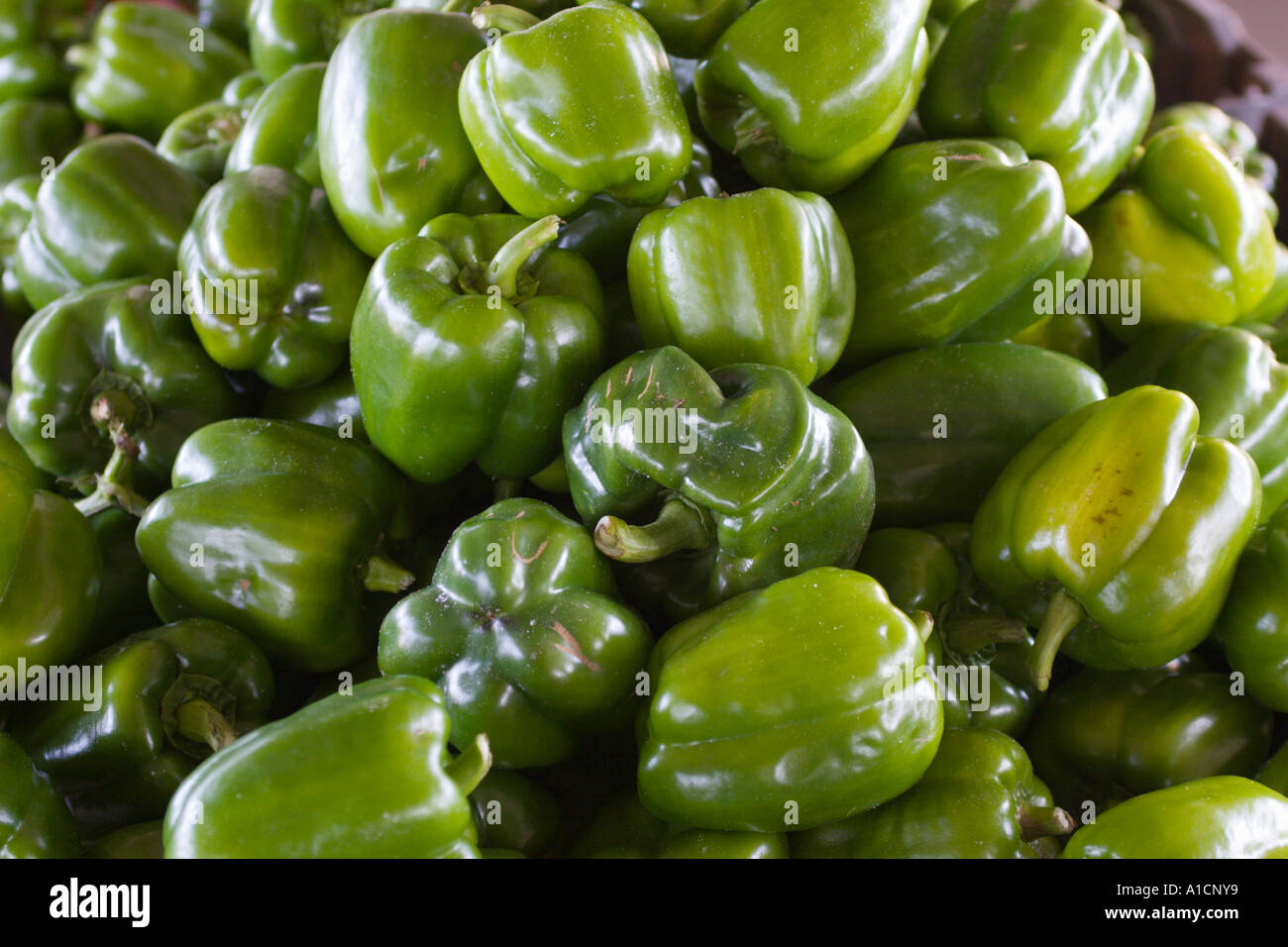 Florida food peppers hi-res stock photography and images - Alamy