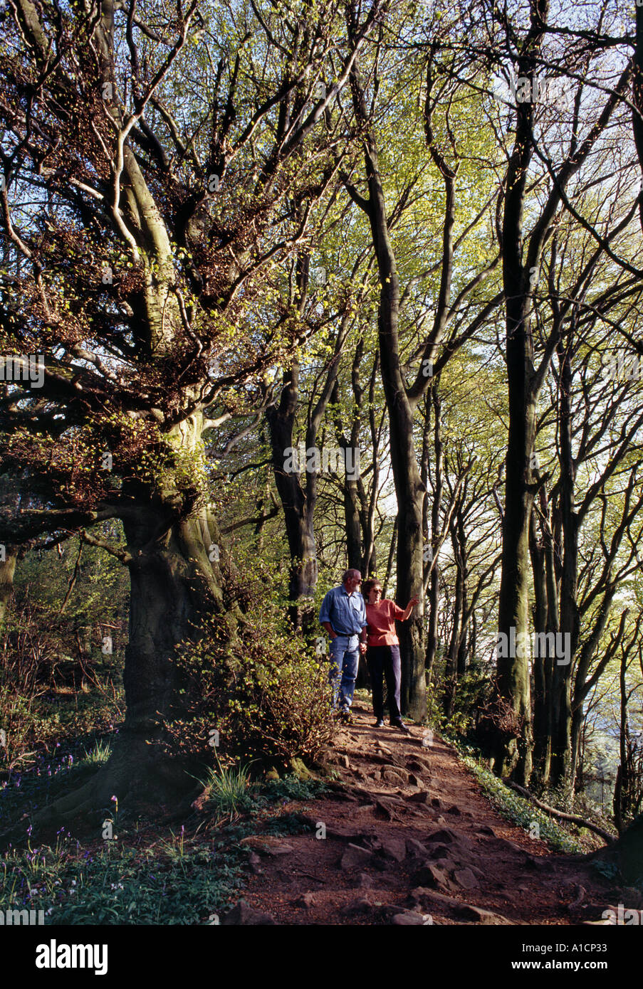 Wye valley footpath hi-res stock photography and images - Alamy