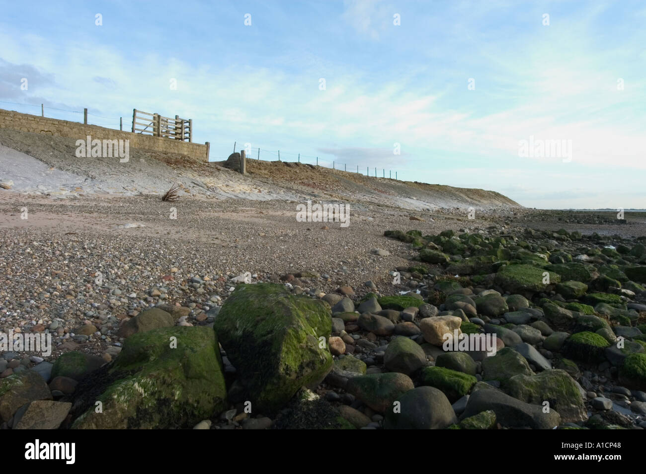 Cockerham hi-res stock photography and images - Alamy