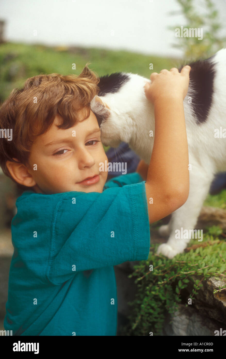 Boy touching cat hi-res stock photography and images - Alamy