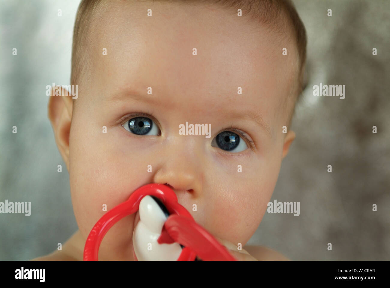 A baby sucking on a soother looking into the camera Stock Photo - Alamy