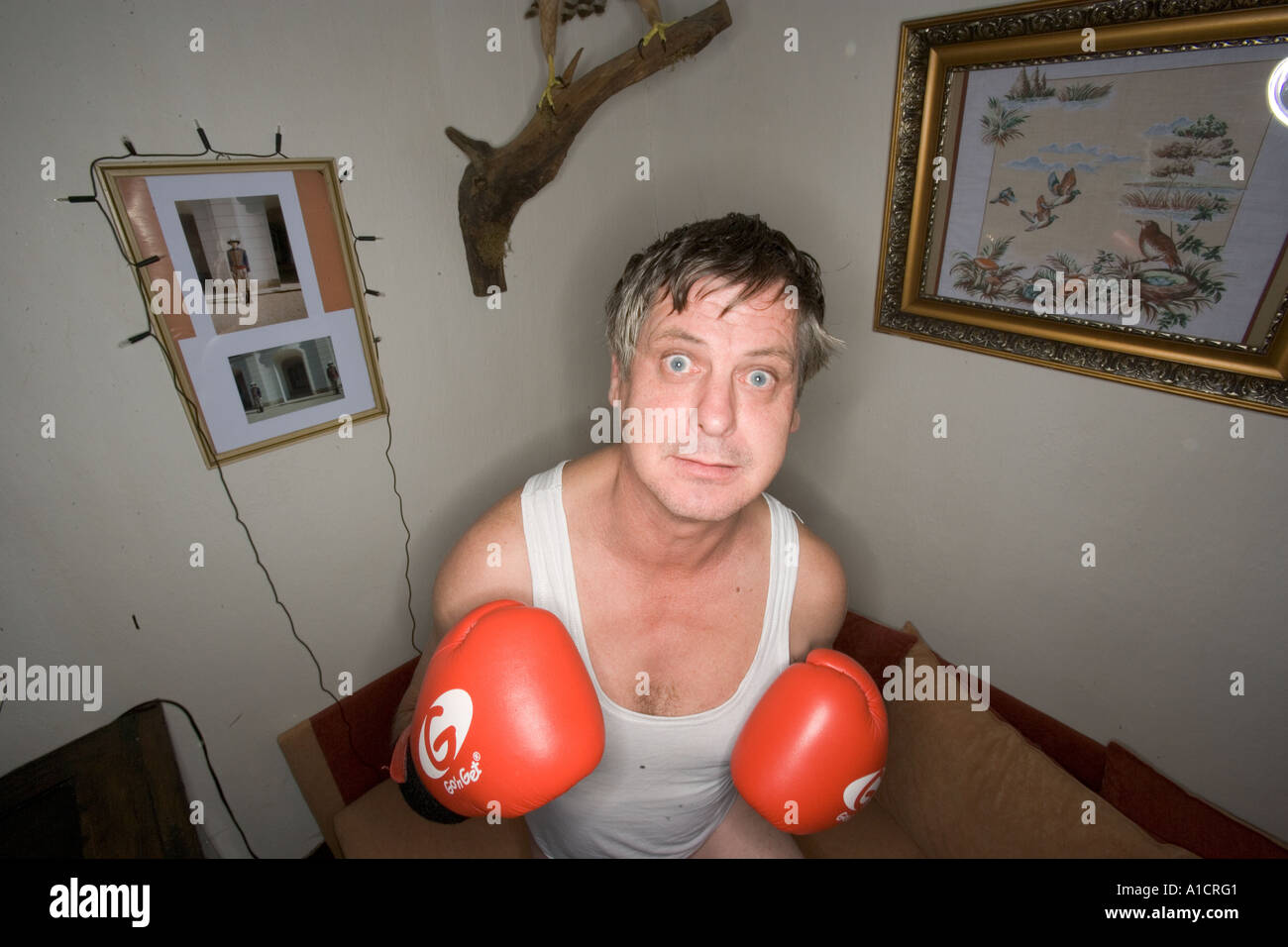 Middle-aged man happily posing with boxing gloves at home Stock Photo ...
